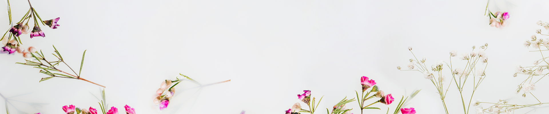 Birthday Flower Collection – Bloom Disctrict – Bloom District